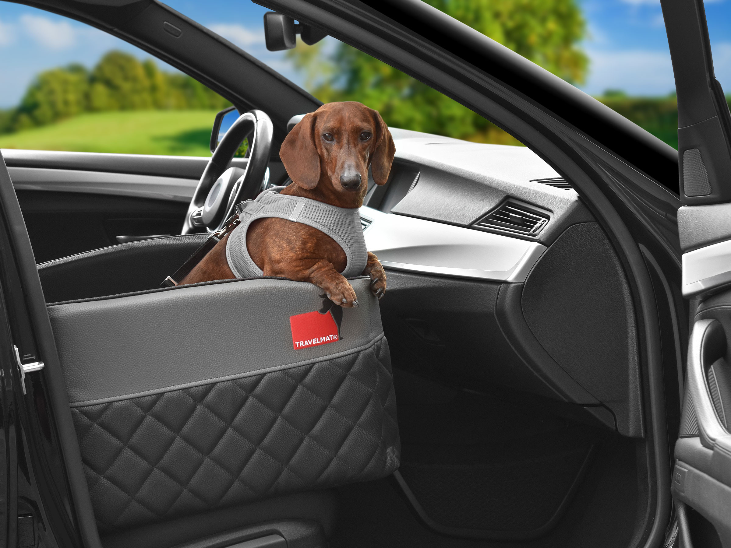 TIERVITAL NATURPRODUKTE - Auto Vordersitz ONE Transportbox